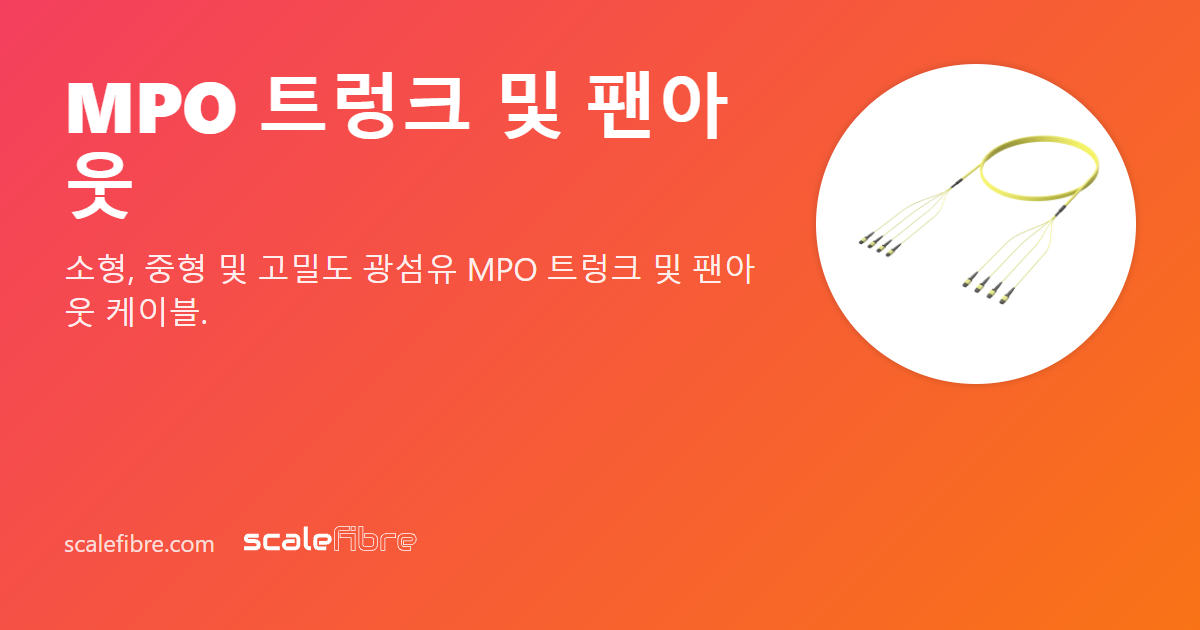 MPO 트렁크 및 팬아웃 | ScaleFibre Asia