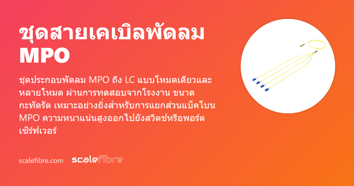 ชุดสายเคเบิลพัดลม MPO | ScaleFibre Asia